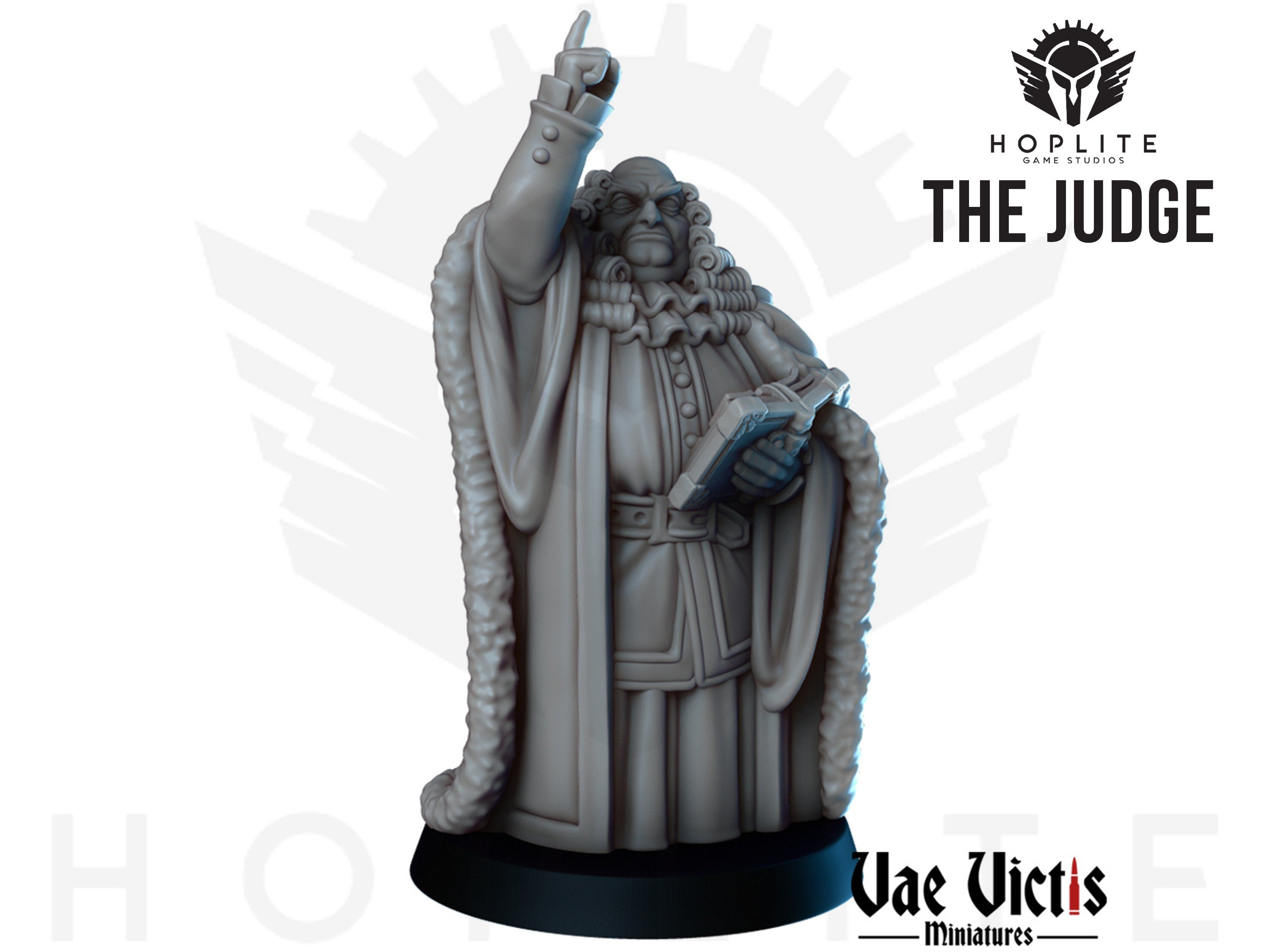 The Judge